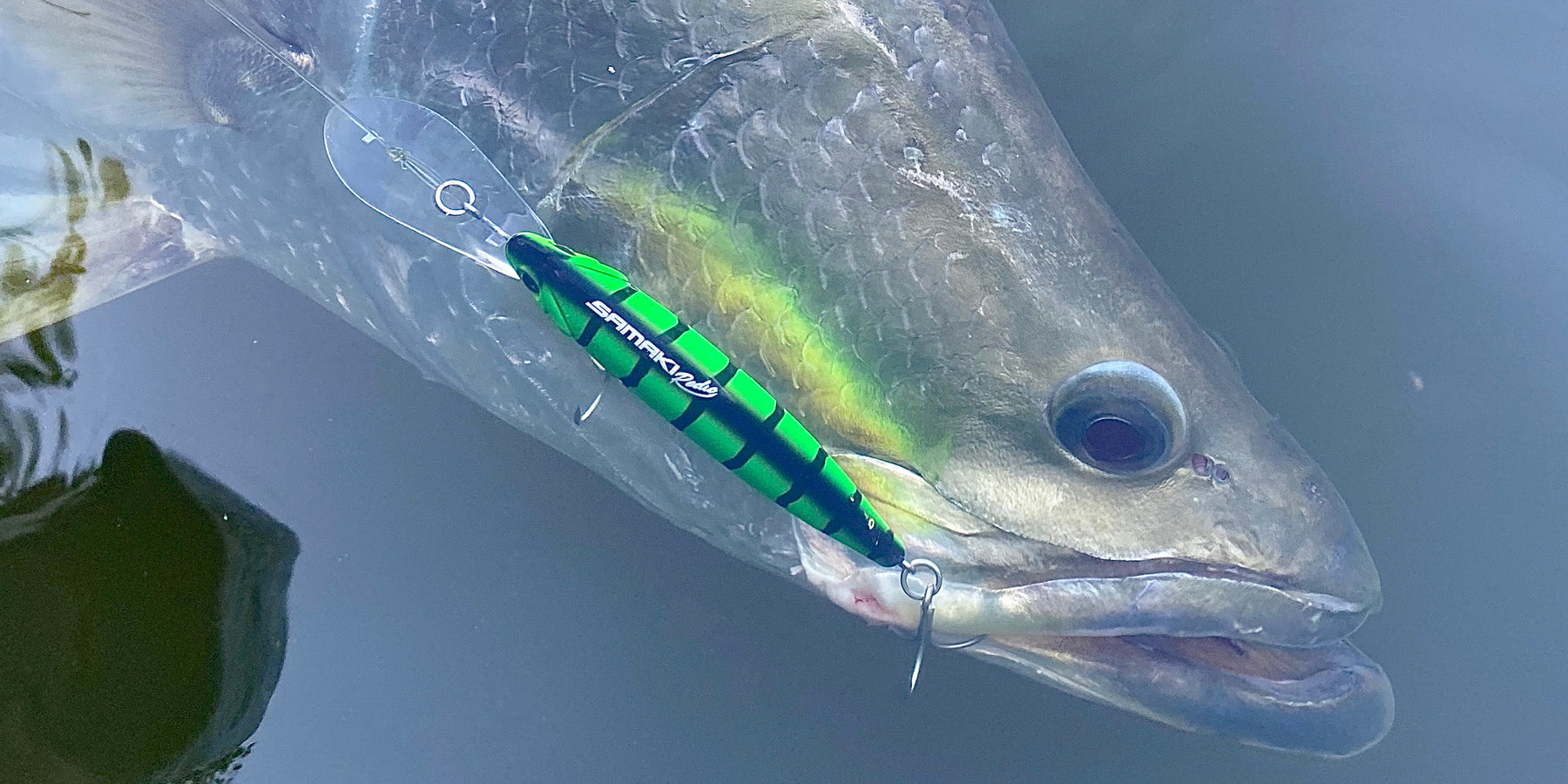 Samaki Redic - Built for Barra