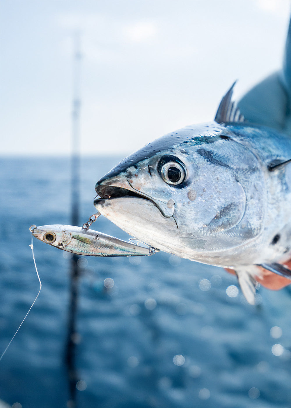 Samaki | Premium Fishing Gear: Lures, Rods, Apparel & Tools