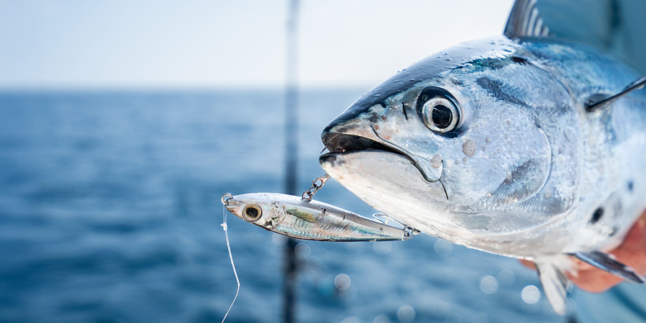 Samaki | Premium Fishing Gear: Lures, Rods, Apparel & Tools